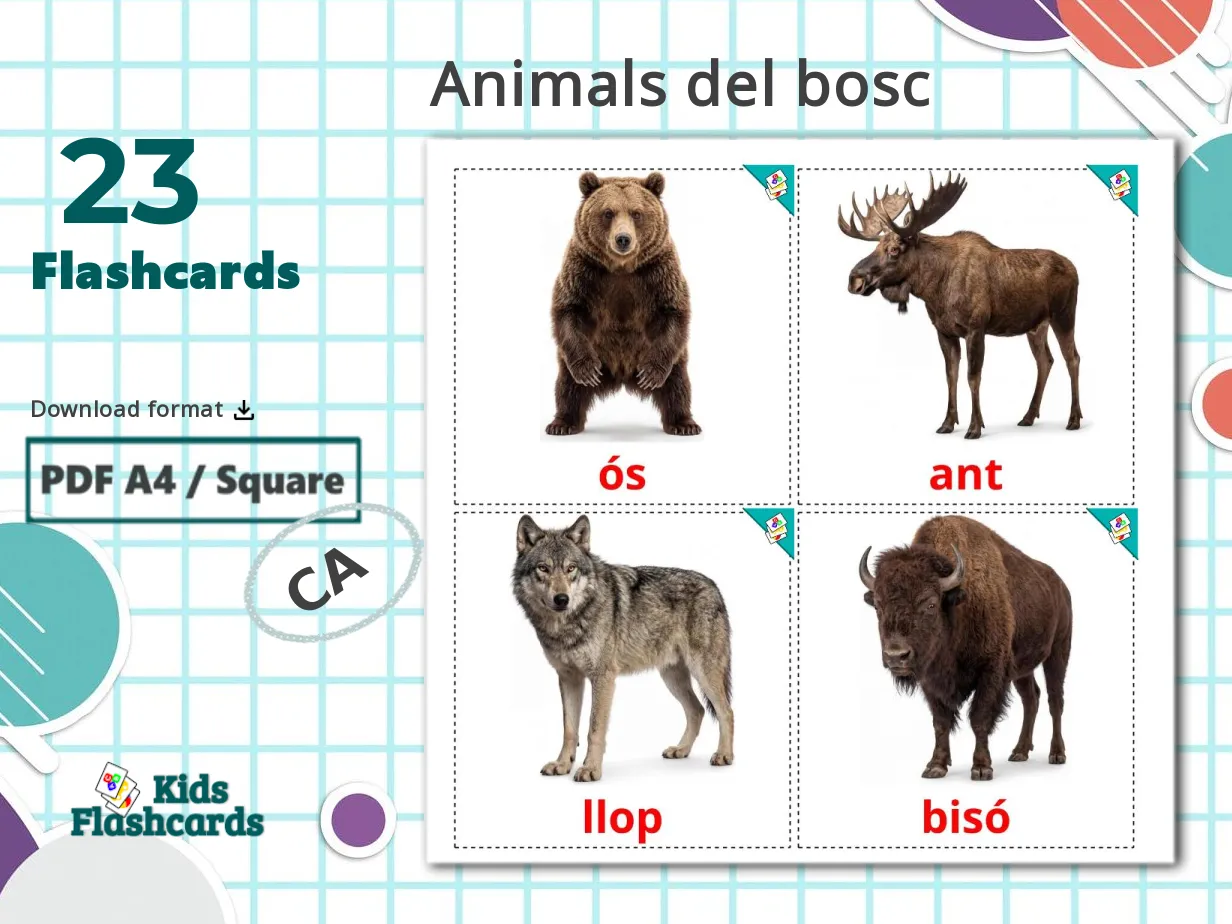 23 Printable Forest animals Flashcards in Catalan (Free PDF)