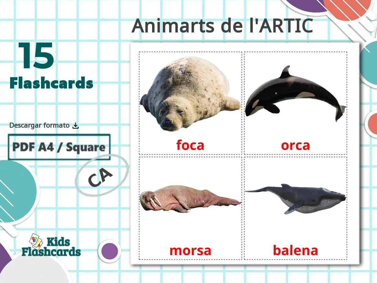 15 Tarjetas de Aprendizaje de Animales del Ártico GRATIS en PDF ...