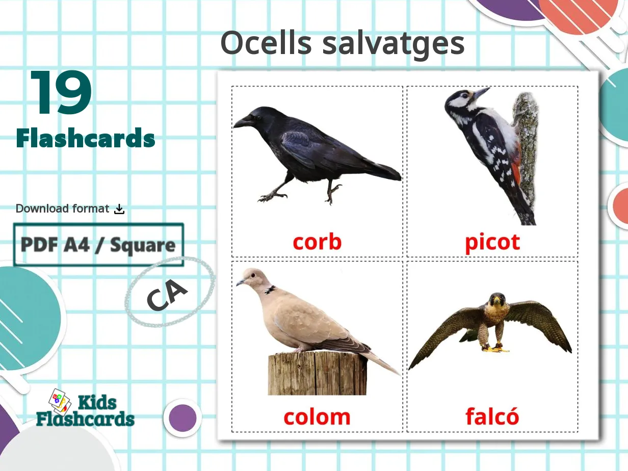 19 Printable Wild birds Flashcards in Catalan (Free PDF)