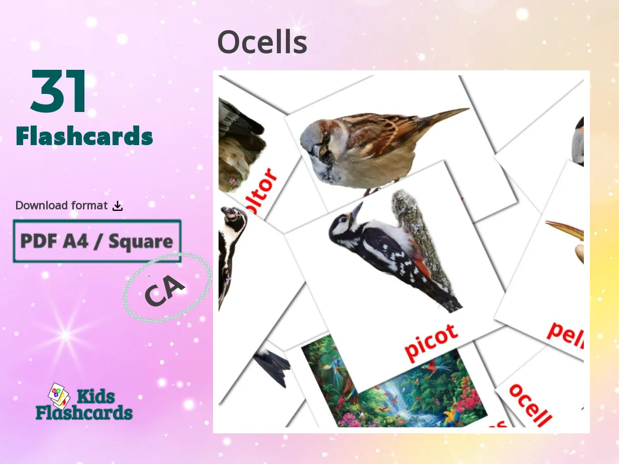 31 FREE Catalan Birds Flashcards | PDF
