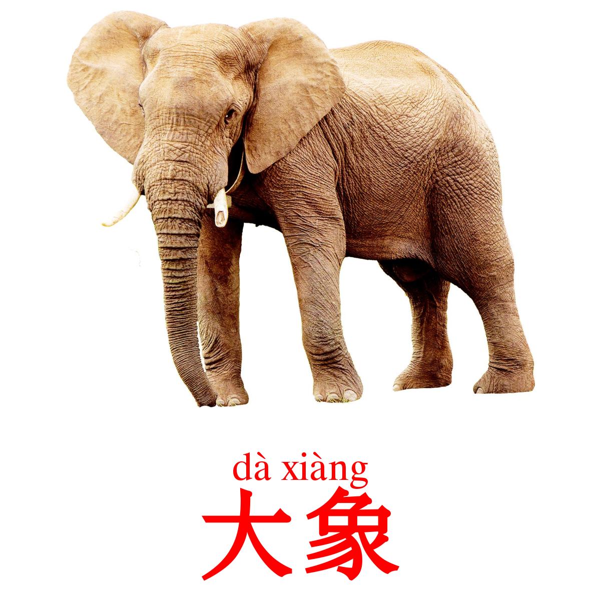 22 Tarjetas Didacticas de Animales para Imprimir GRATIS en Cantonés | PDFs