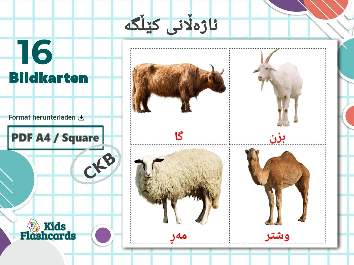 16 Nutztiere Bildkarten in PDF | Kurdisch(sorani) Bilder