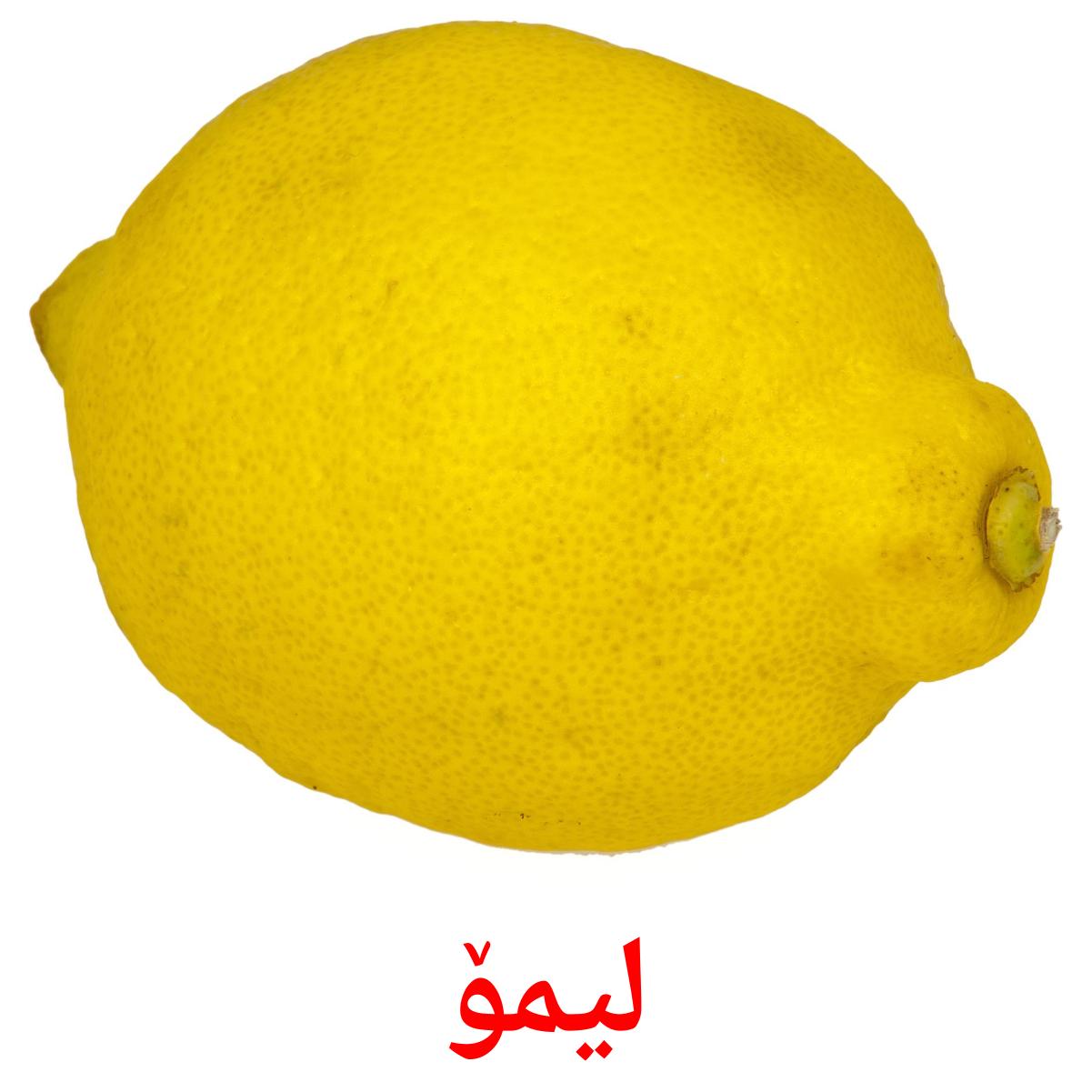 21 Cartões linguagem de Frutas GRÁTIS em 4 formatos PDF | Curdo(sorani ...