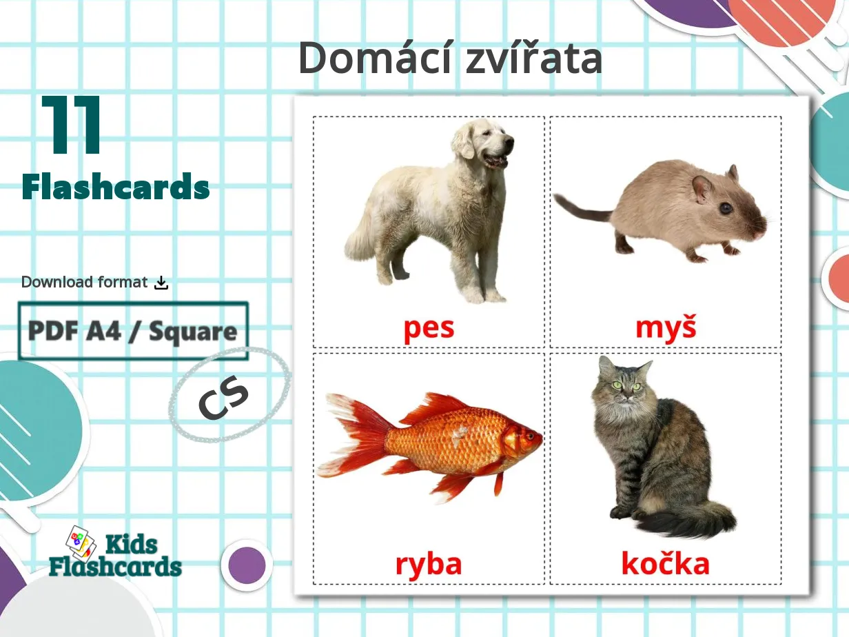 11 Printable Domestic animals Flashcards in Czech (Free PDF)