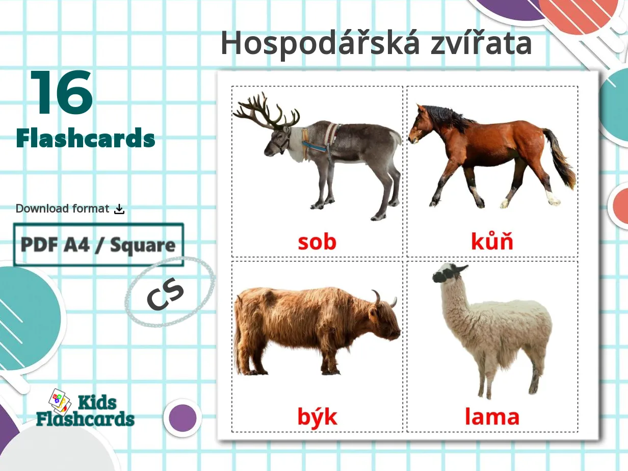 16 Printable Farm animals Flashcards in Czech (Free PDF)