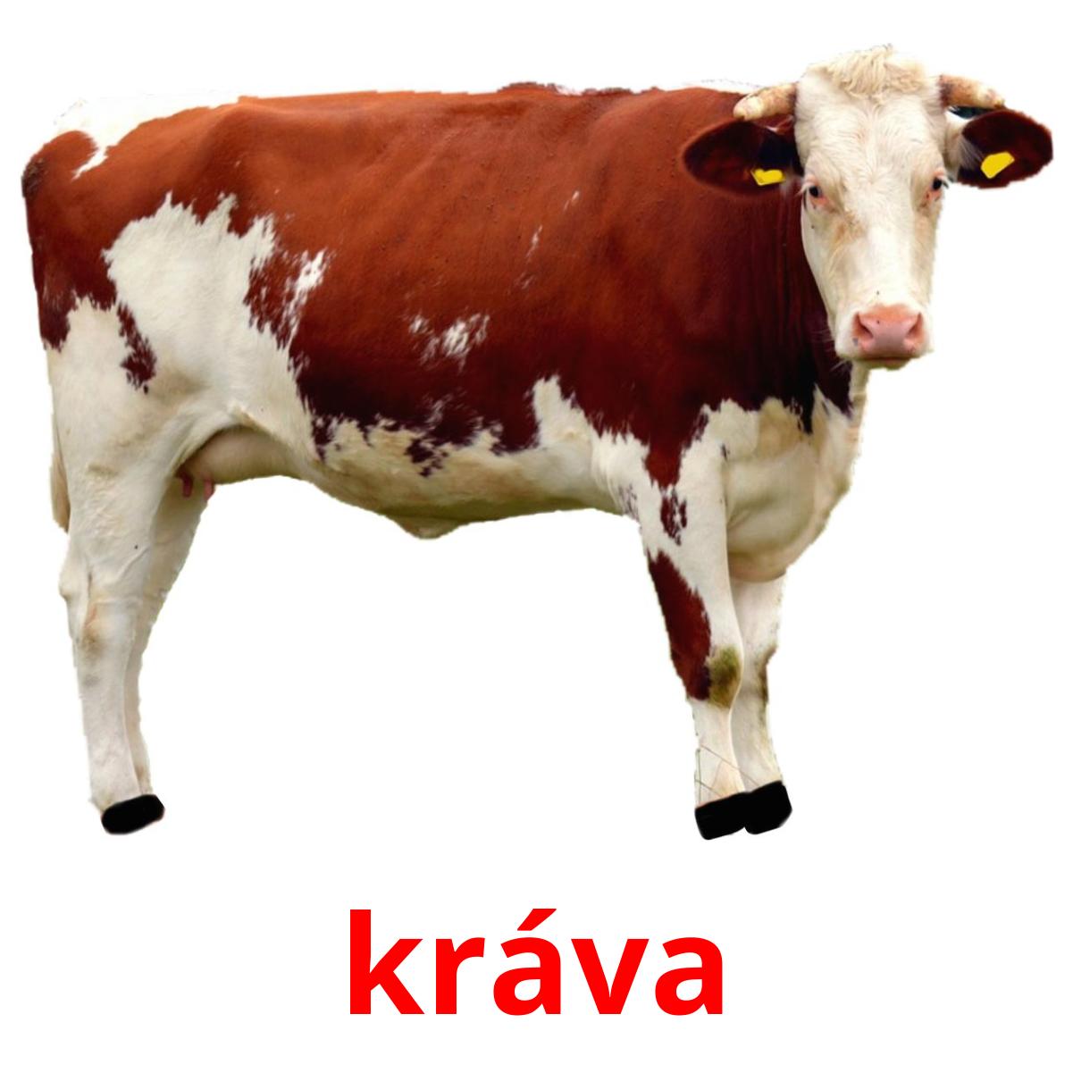 16 Printable Farm animals Flashcards in Czech (Free PDF)