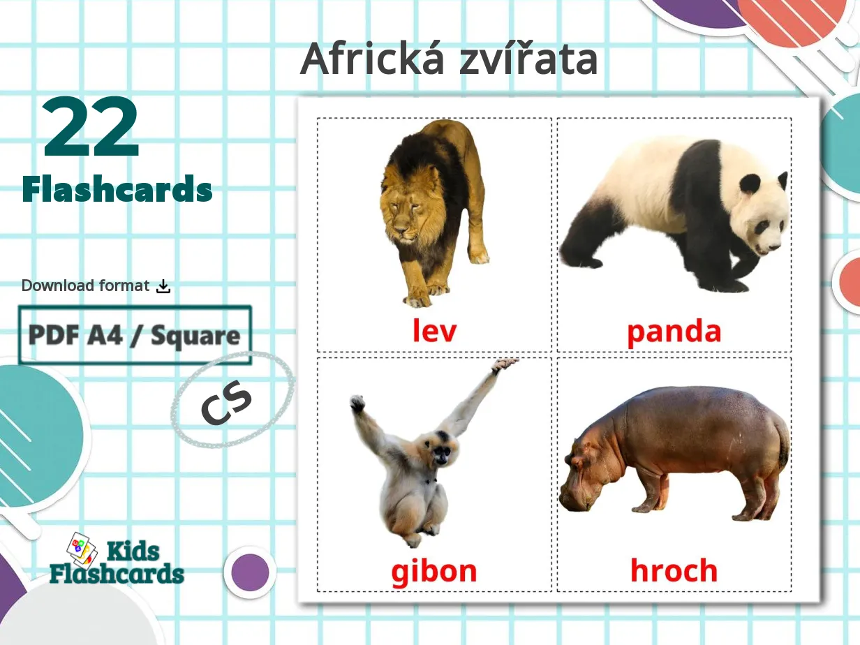 22 Printable Jungle animals Flashcards in Czech (Free PDF)