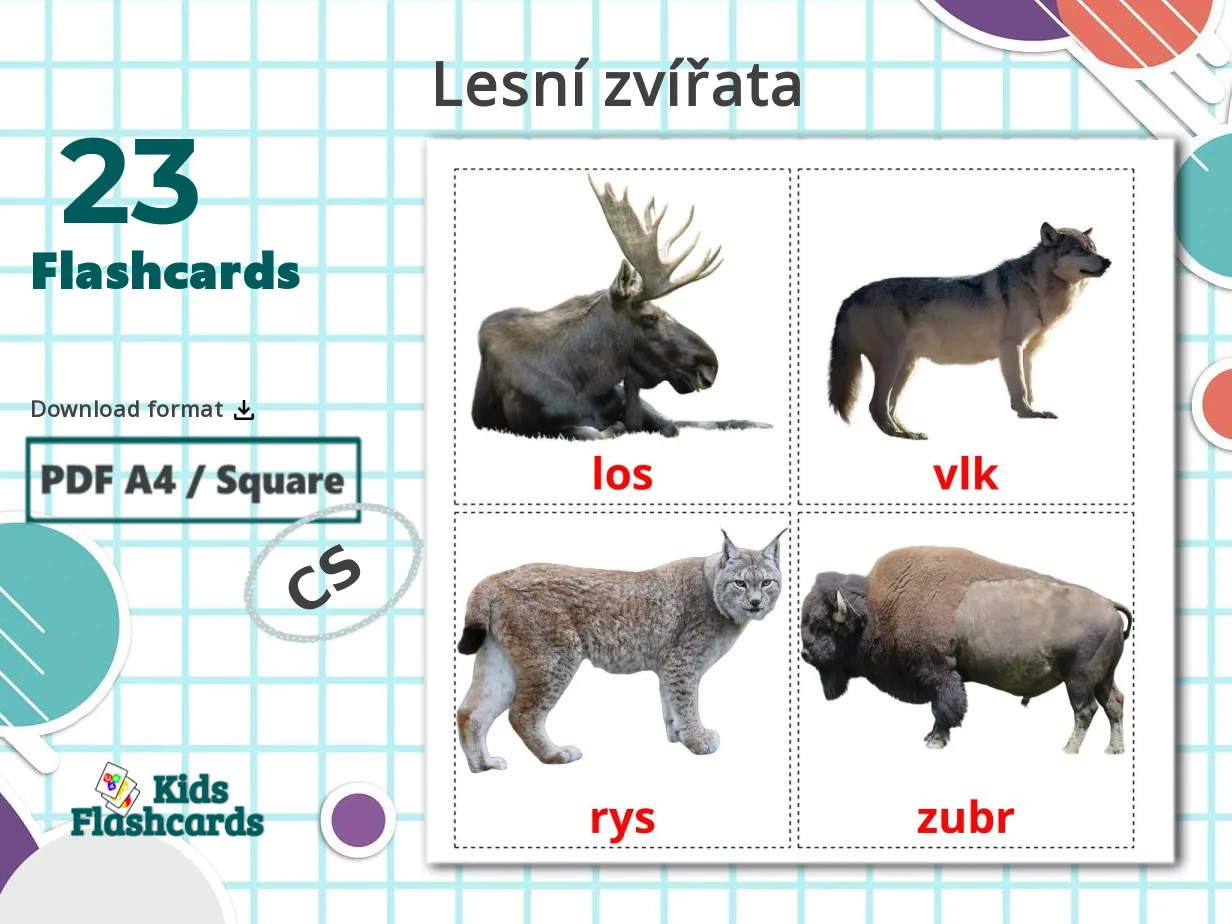 23 Printable Forest animals Flashcards in Czech (Free PDF)