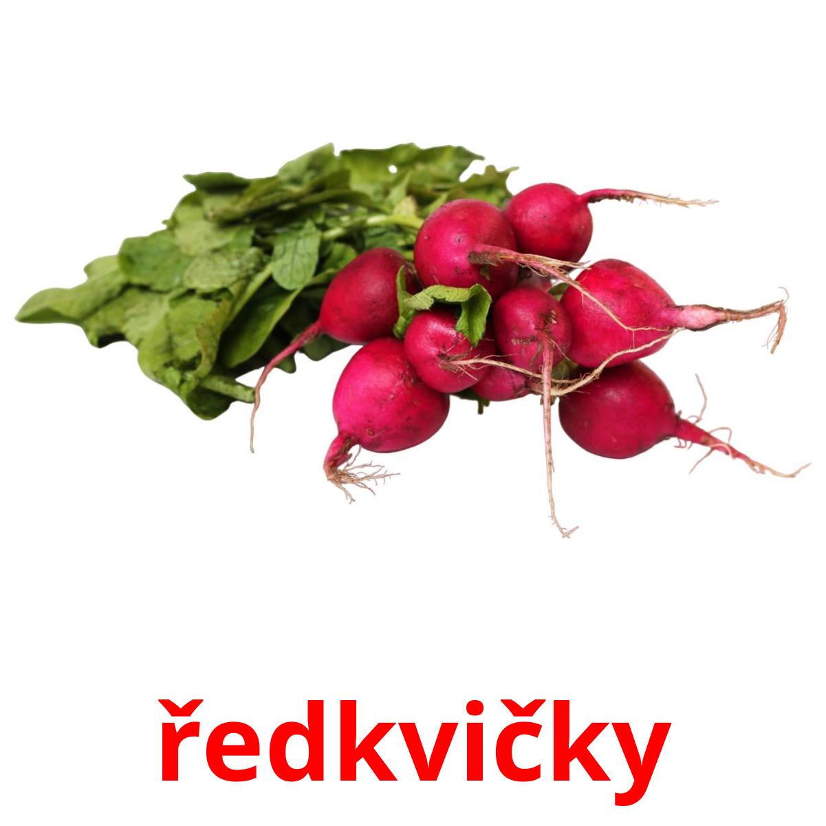 30 Printable Vegetables Flashcards in Czech (Free PDF)