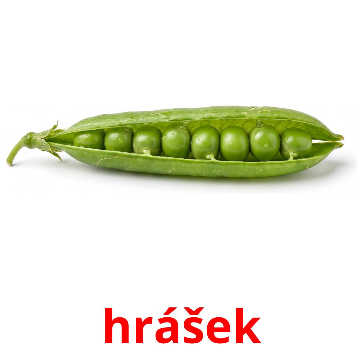 30 FREE Vegetables Flashcards | PDF | Czech Words