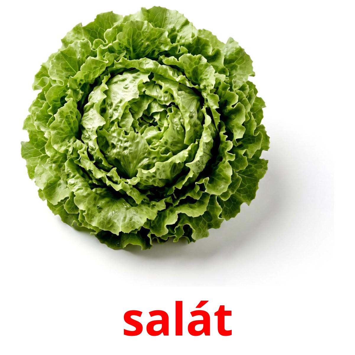 30 Printable Vegetables Flashcards in Czech (Free PDF)