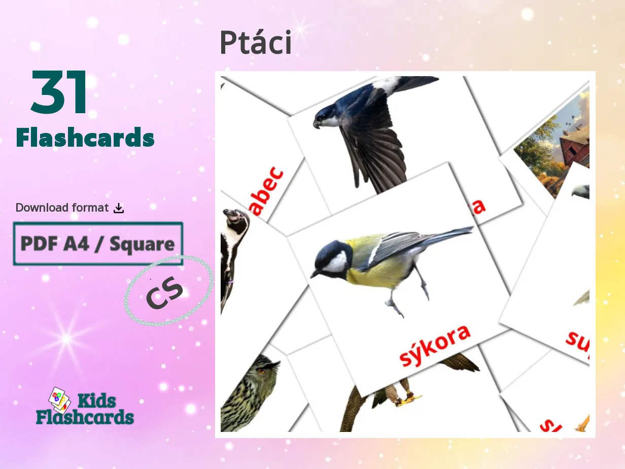 31 FREE Czech Birds Flashcards | PDF