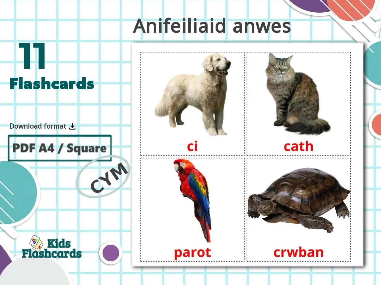 11 Printable Domestic animals Flashcards in Welsh (Free PDF)