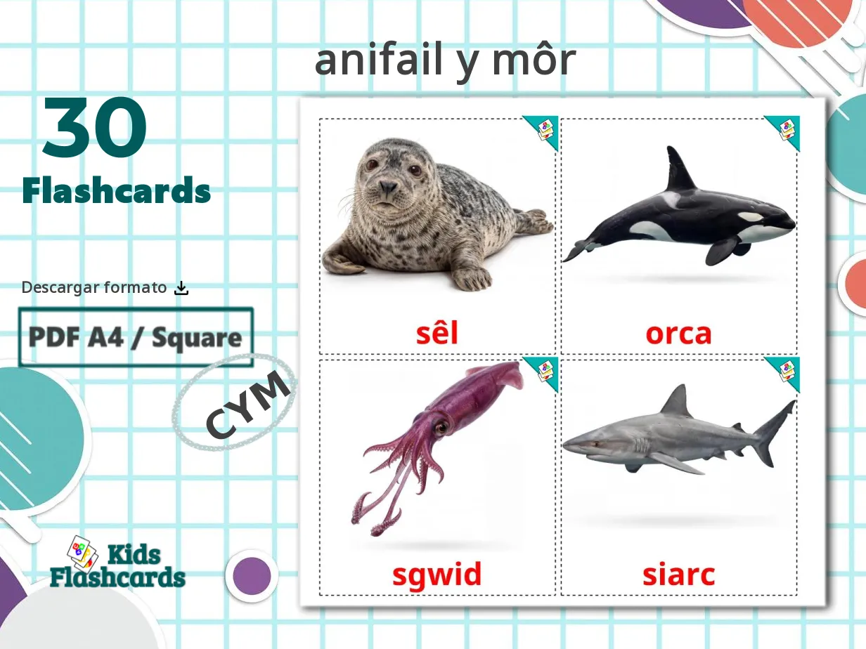 30 Tarjetas de Aprendizaje de Animales Marinos GRATIS en PDF | Imágenes ...