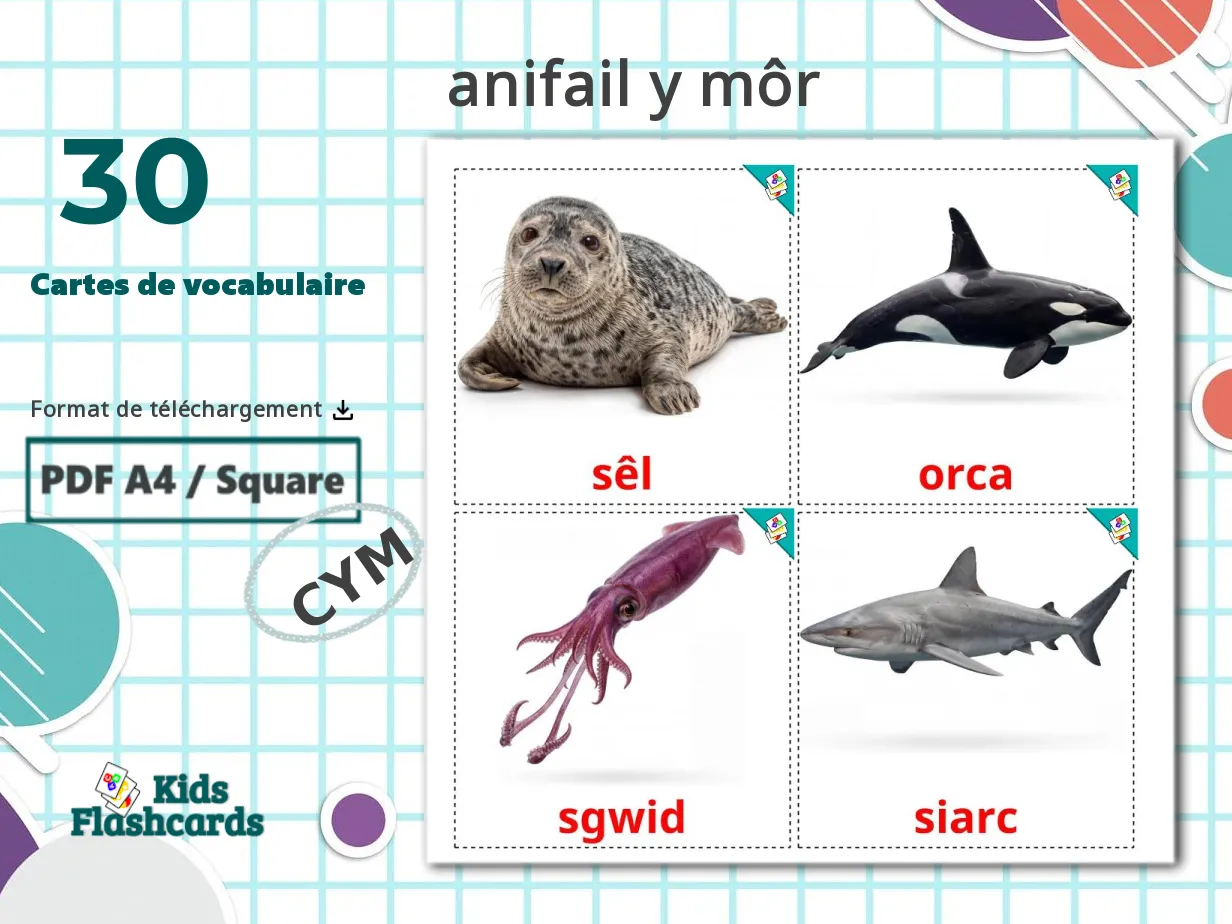 30 Cartes de Vocabulaire pour Enfants GRATUITES Les Animaux Marins à ...