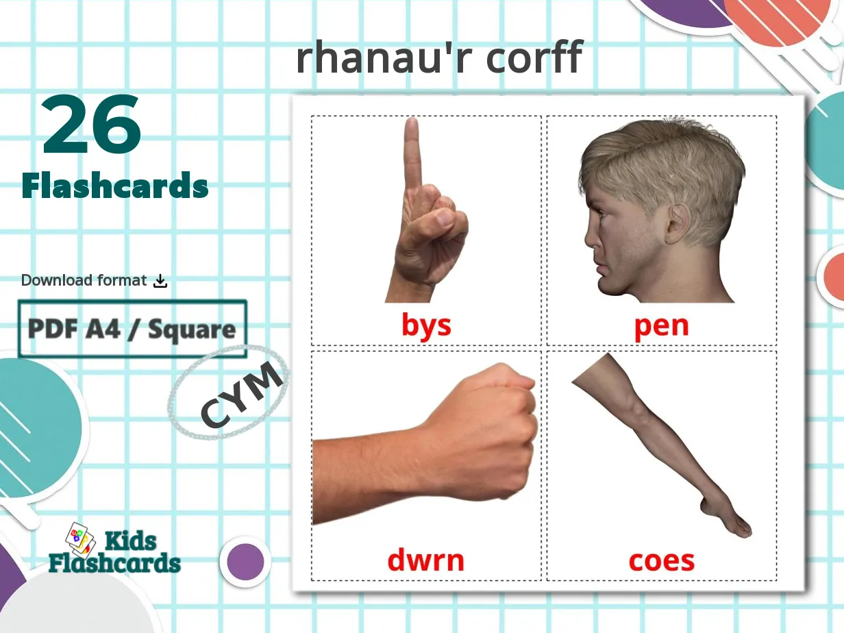 26 Printable Body Parts Flashcards in Welsh (Free PDF)