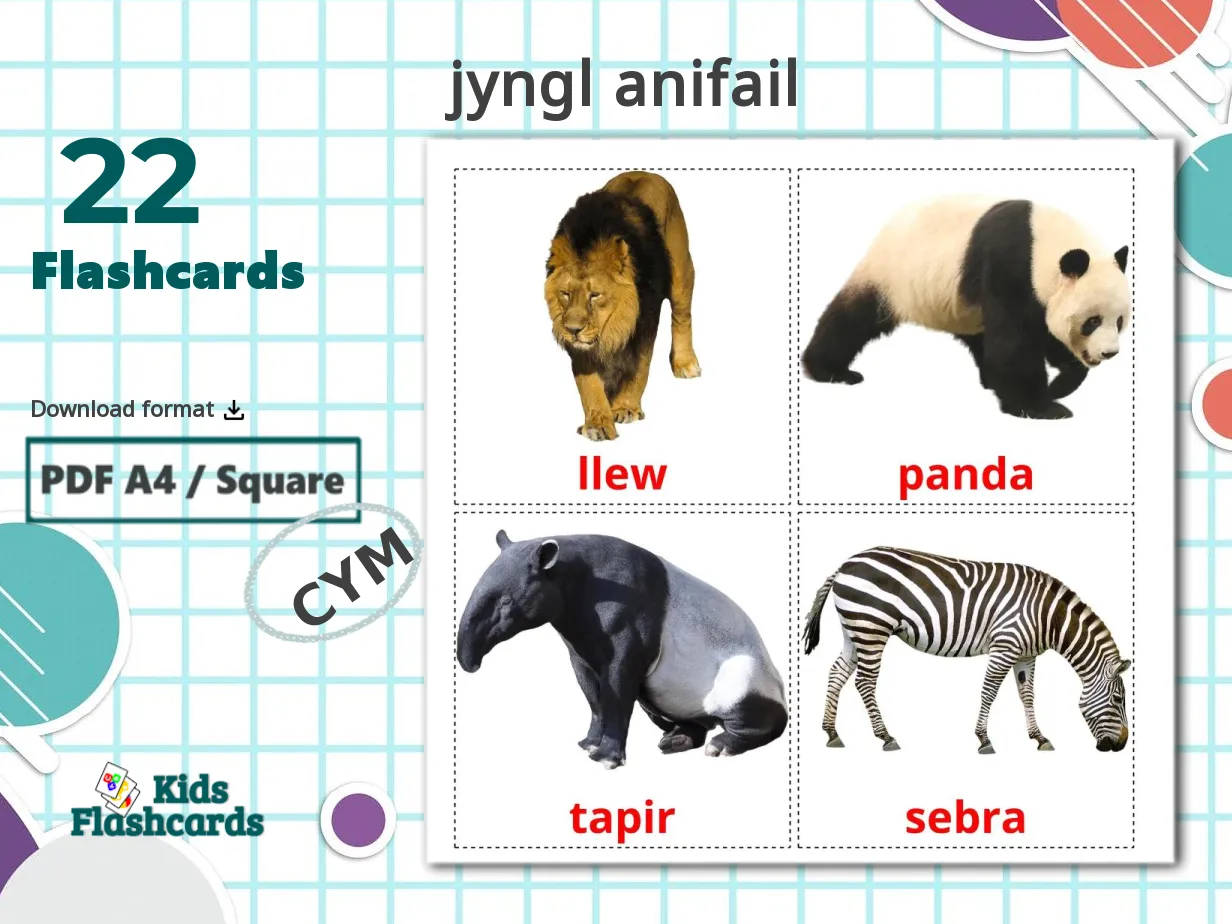 22 Printable Jungle animals Flashcards in Welsh (Free PDF)