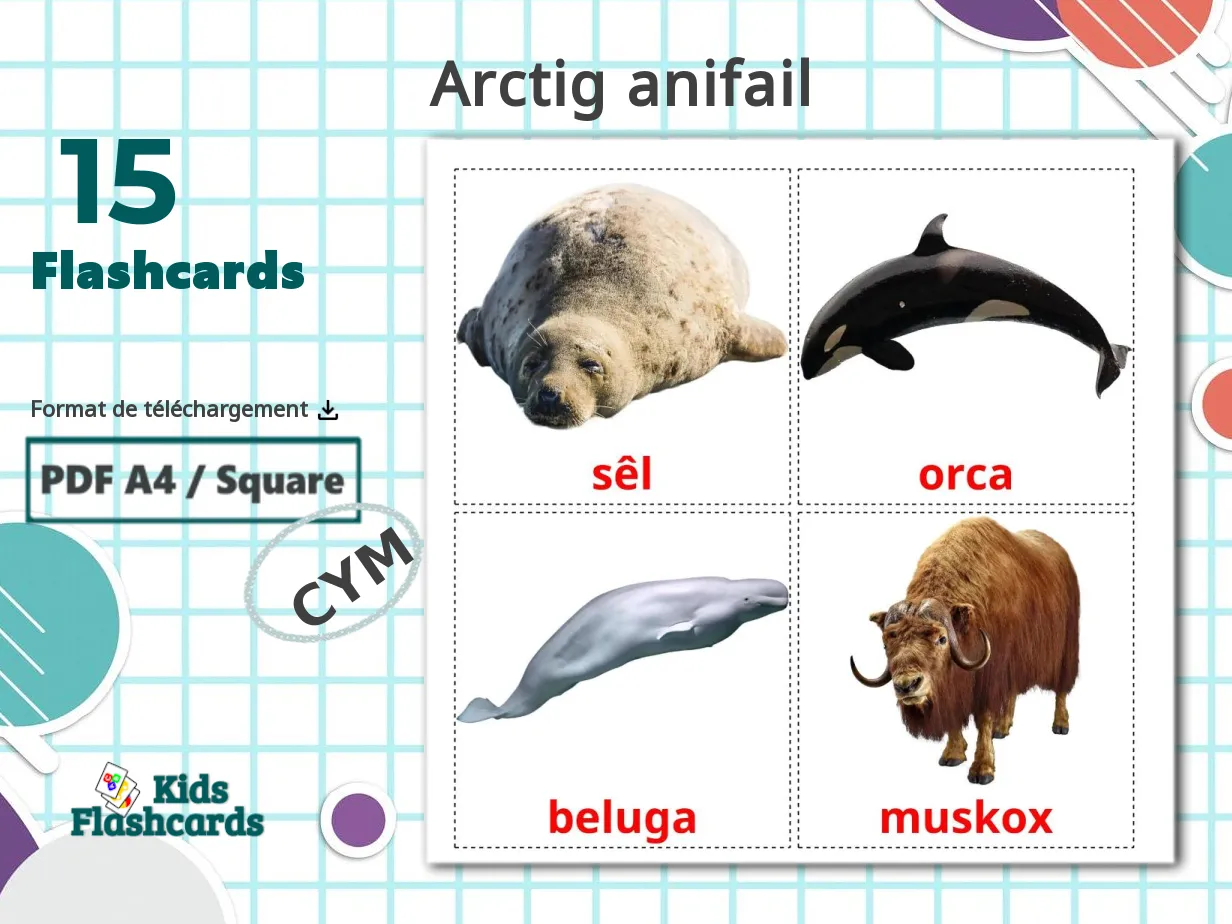 15 Cartes de Vocabulaire pour Enfants GRATUITES Les Animaux de l ...