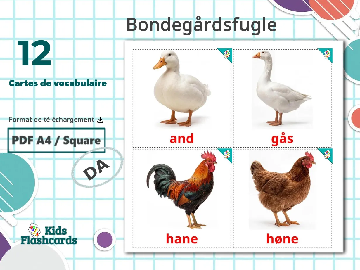 12 Cartes de Vocabulaire pour Enfants GRATUITES Les Oiseaux de Ferme à ...
