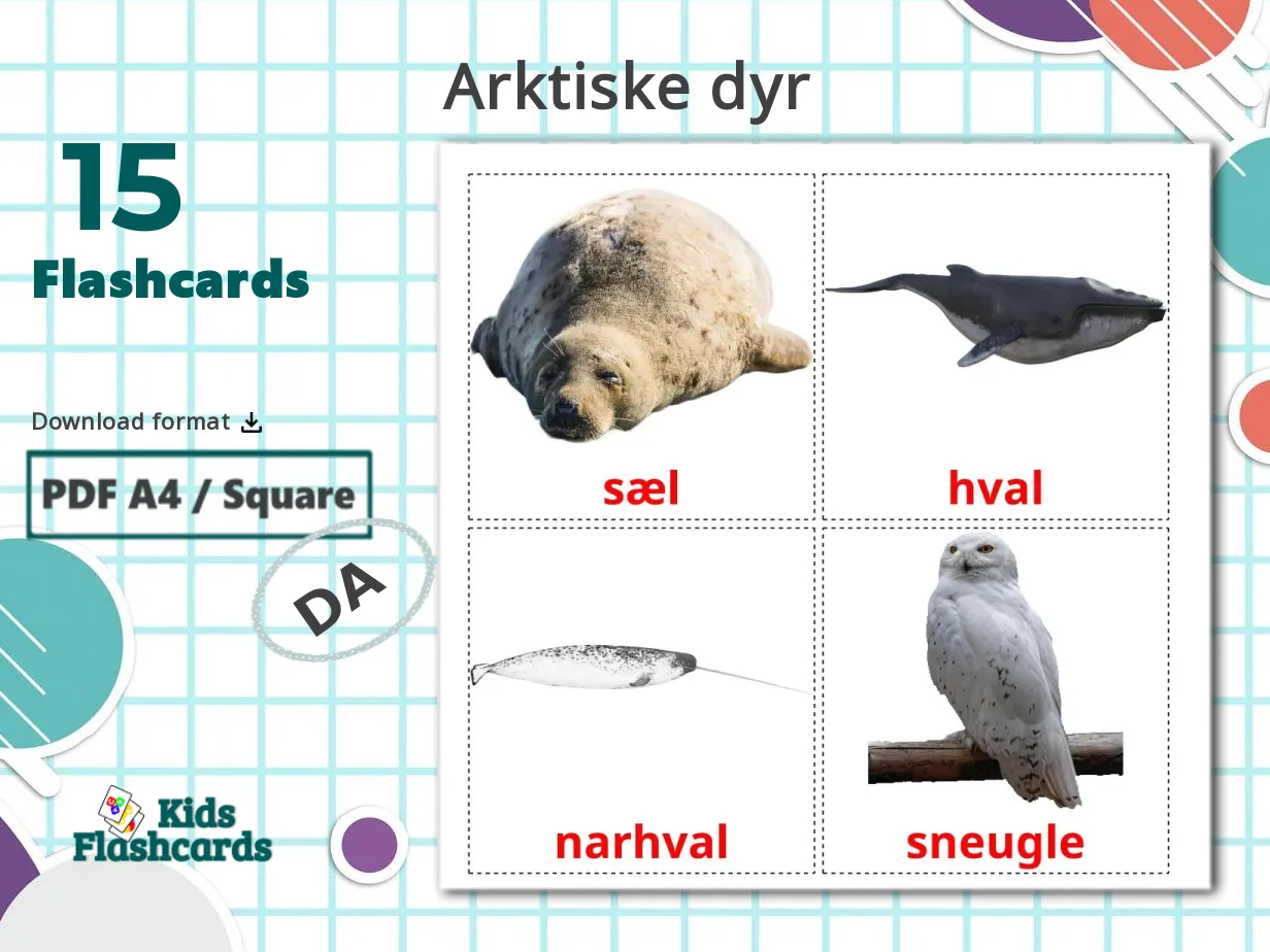 15 GRATIS Billedkort om Arktiske dyr i 4 PDF-formater | Billeder på Dansk