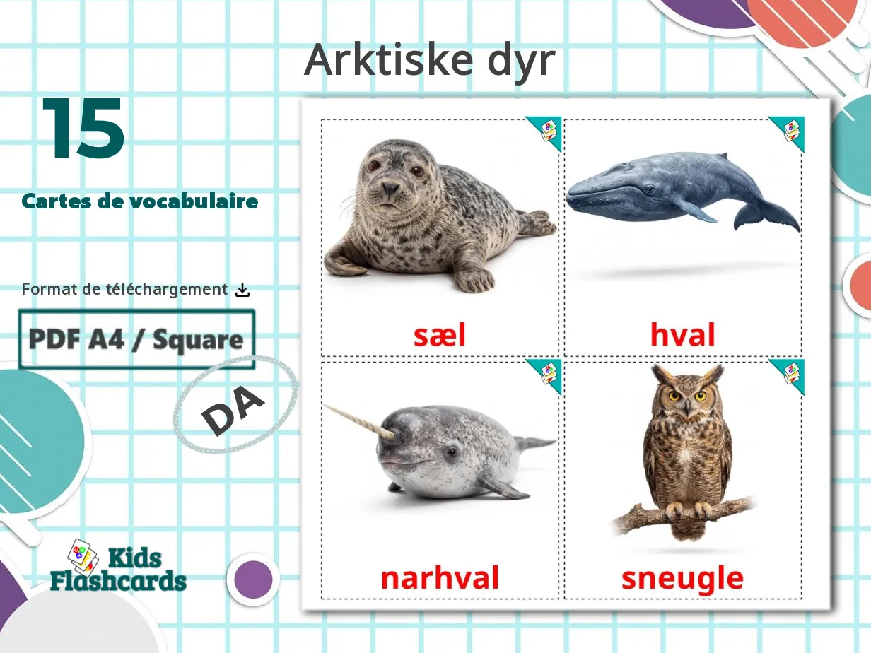 15 Cartes Nomenclature Montessori Les Animaux de l'Arctique GRATUIT à ...