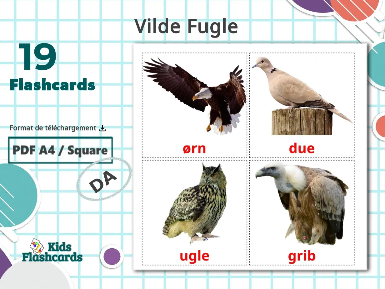 19 Cartes de Vocabulaire pour Enfants GRATUITES Les Oiseaux Sauvages à ...