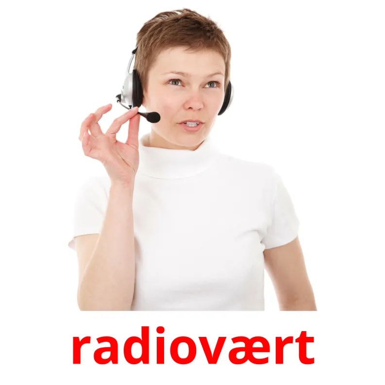 51 FREE Jobs and Occupations Flashcards | PDF | Dansk Words