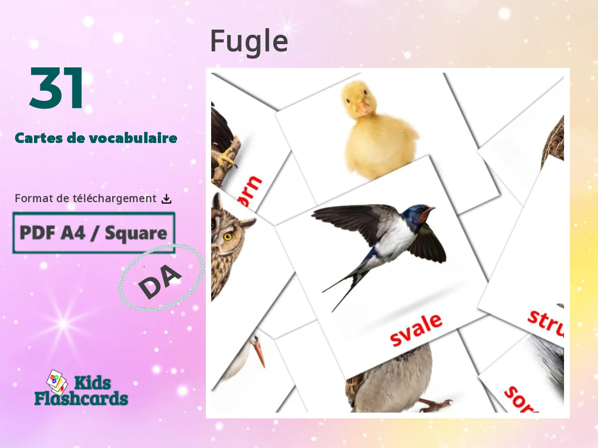 31 Cartes de vocabulaire Oiseaux GRATUITES à imprimer | PDF ...