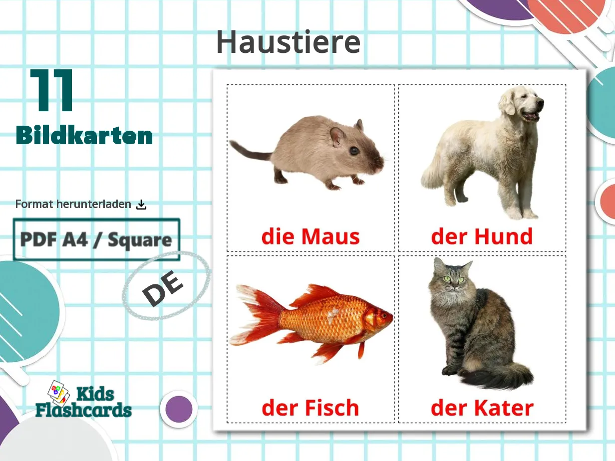 11 Haustiere Bildkarten in PDF | Deutsch Bilder