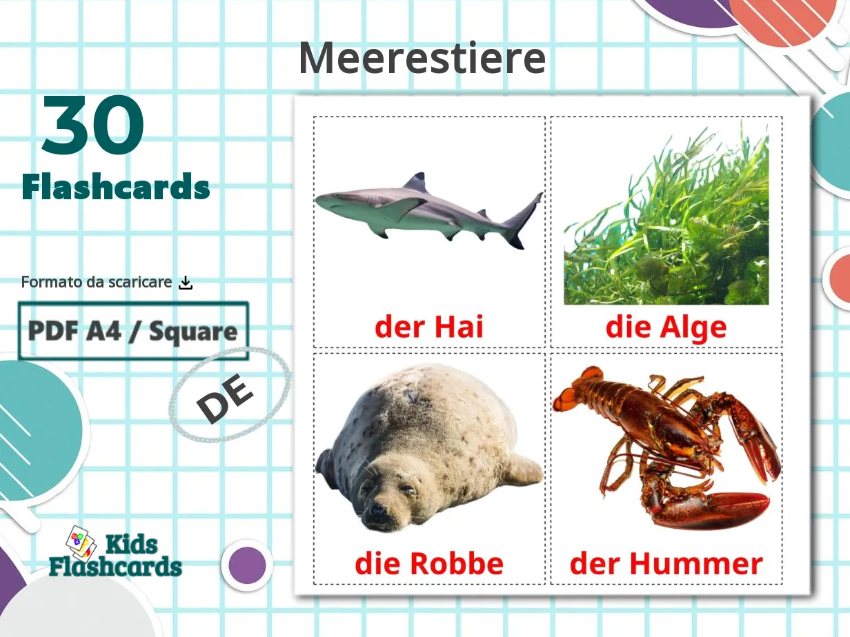 30 Flashcard GRATUITE sui Animali marini in 4 Formati PDF | Immagini in ...