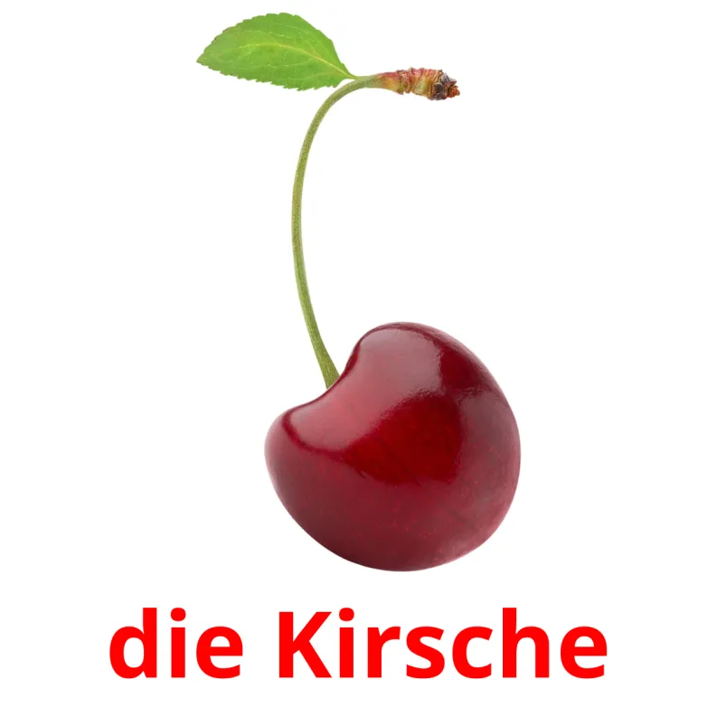 11 FREE Berries Flashcards | PDF | German Words