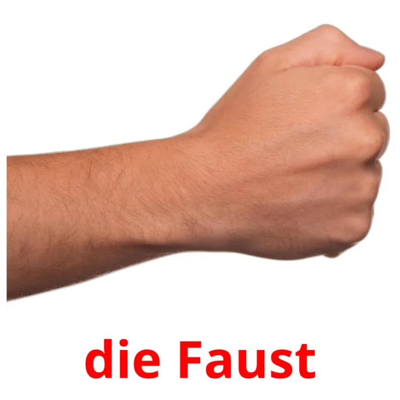 26 FREE Body Parts Flashcards | PDF | German Words