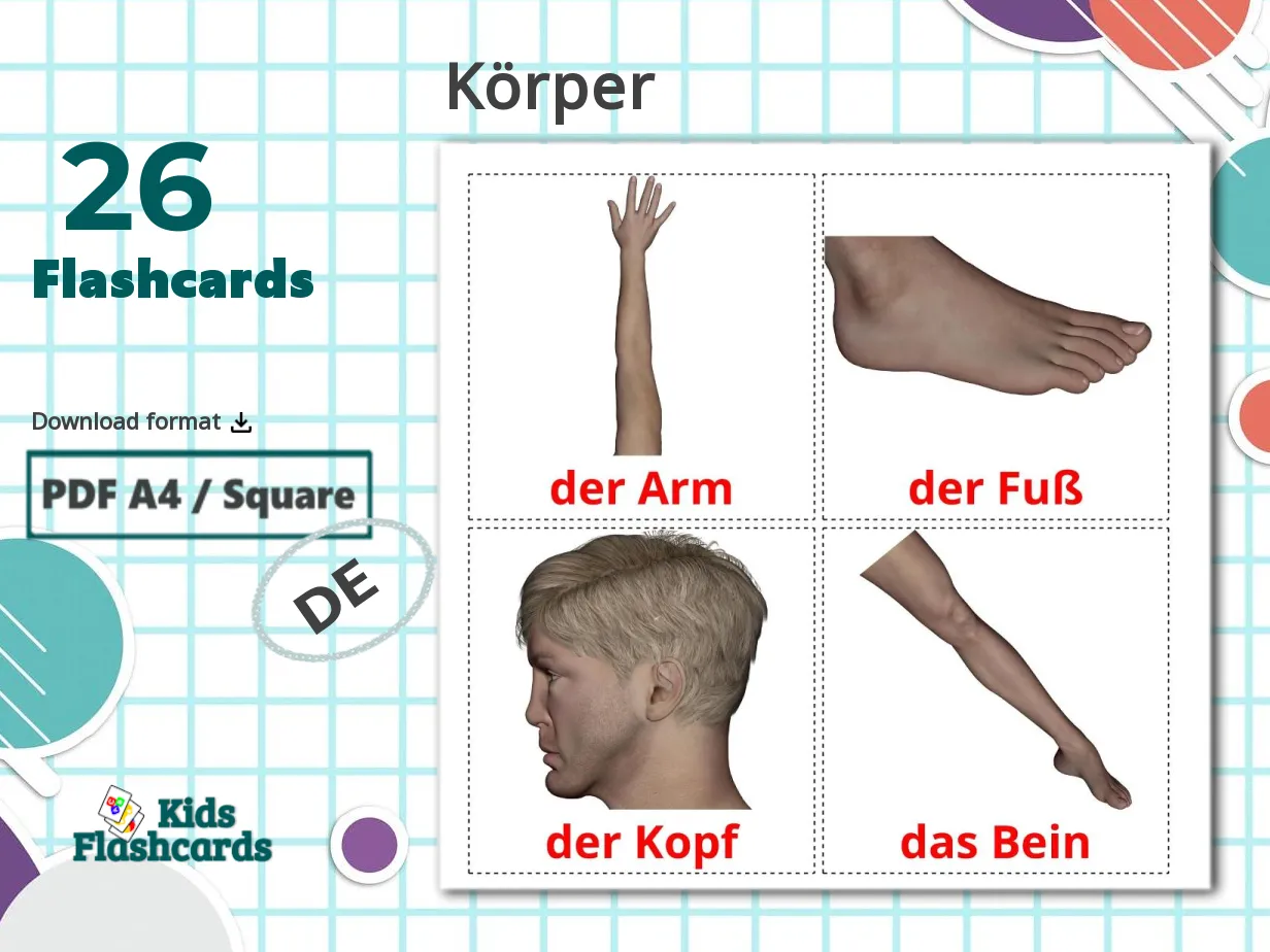26 Printable Body Parts Flashcards in German (Free PDF)