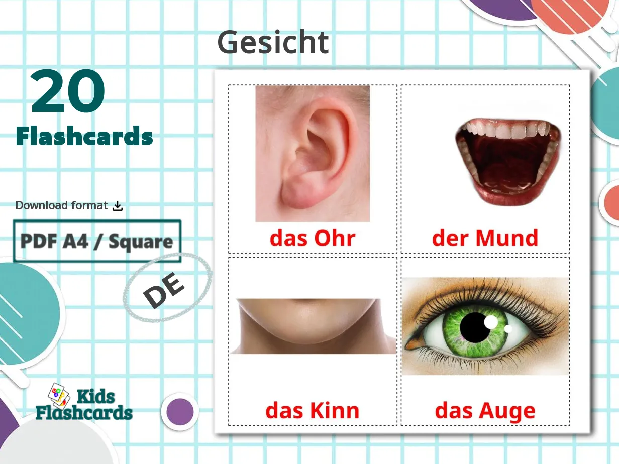 20 Printable Face Flashcards in German (Free PDF)