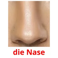 20 FREE Face Flashcards in 4 PDF formats | German Pictures