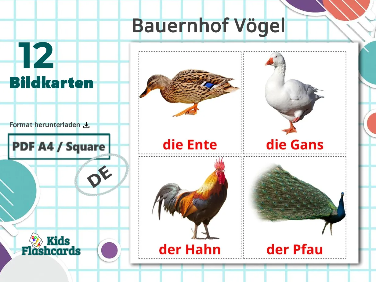 12 Bauernhof Vögel Bildkarten in PDF | Deutsch Bilder