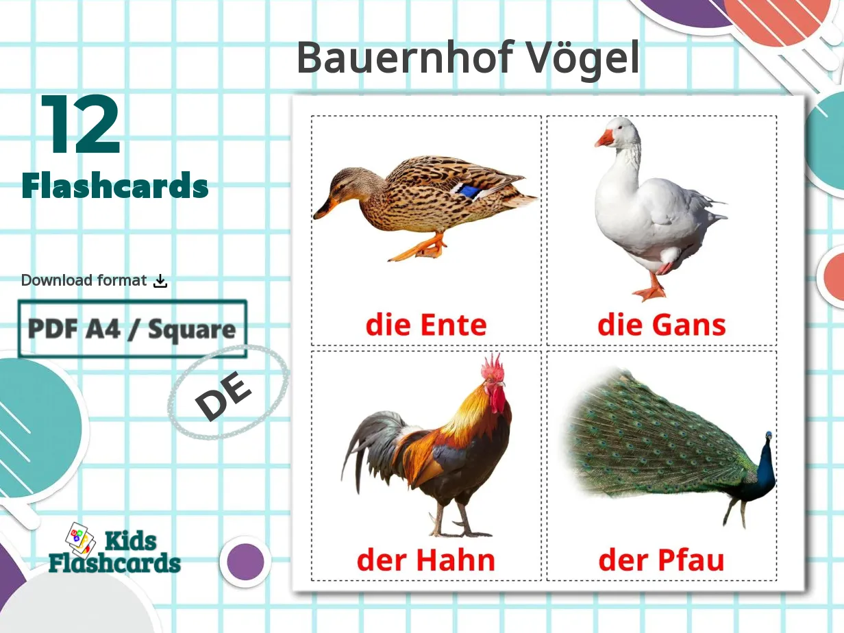 12 Printable Farm birds Flashcards in German (Free PDF)