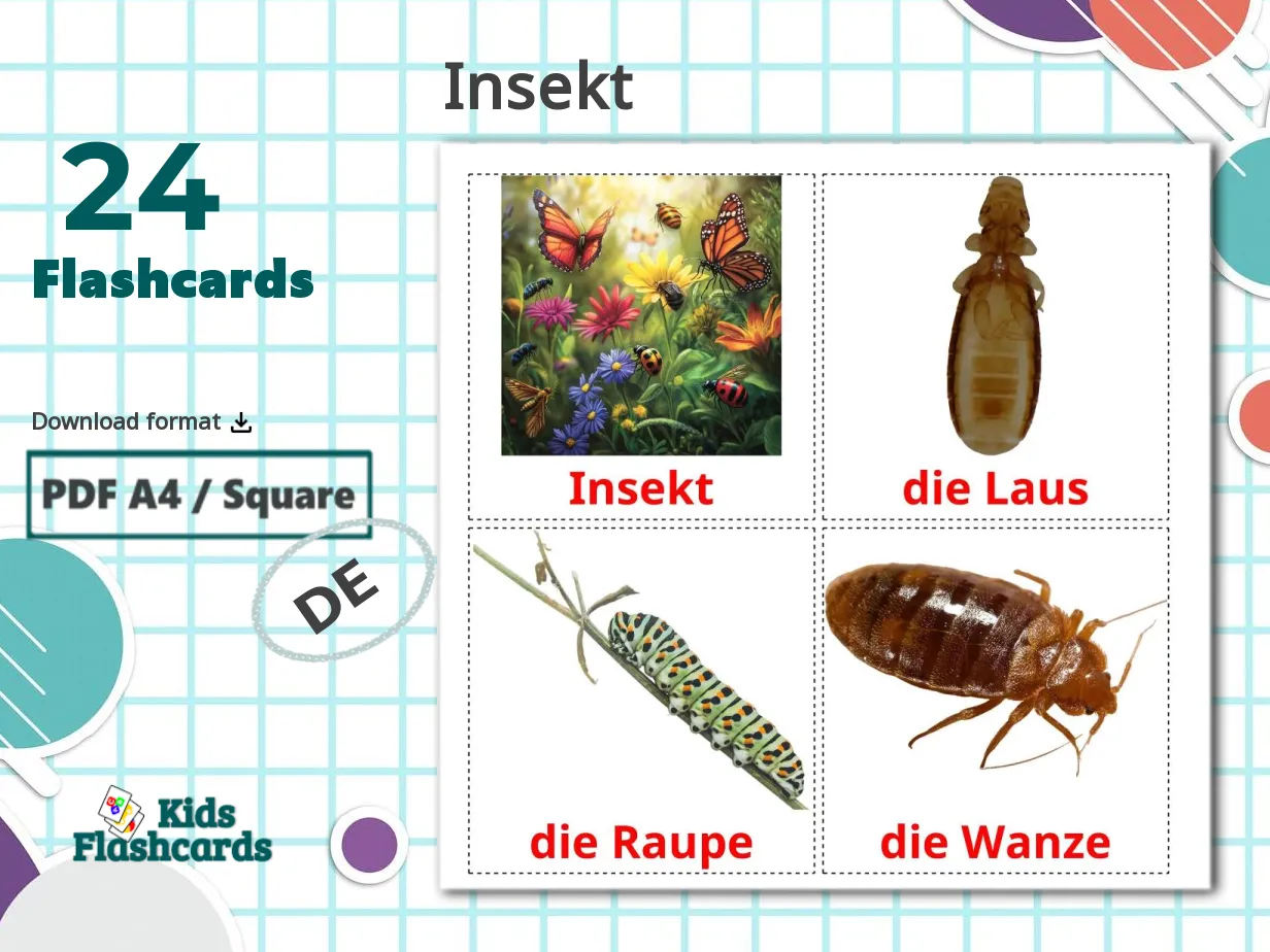 24 Printable Insects Flashcards in German (Free PDF)