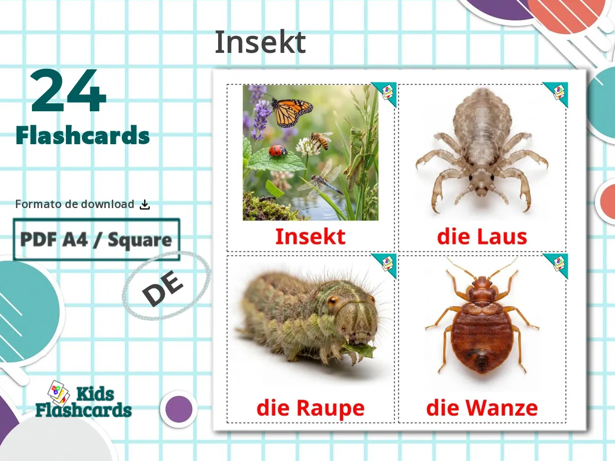 24 Cartões linguagem de Insetos GRÁTIS em 4 formatos PDF | Alemão Pictures
