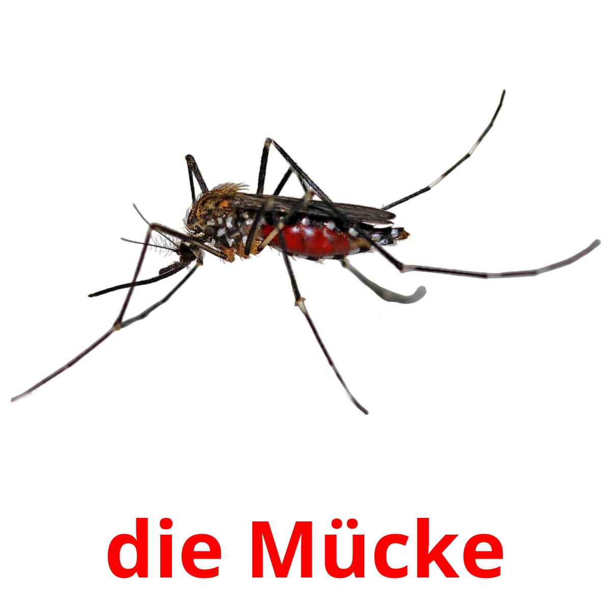 24 Printable Insects Flashcards in German (Free PDF)