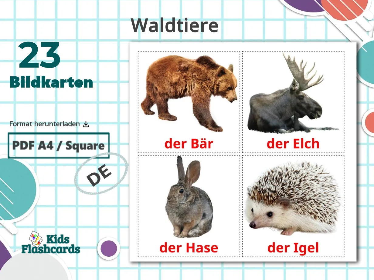 23 Waldtiere Bildkarten in PDF | Deutsch Bilder