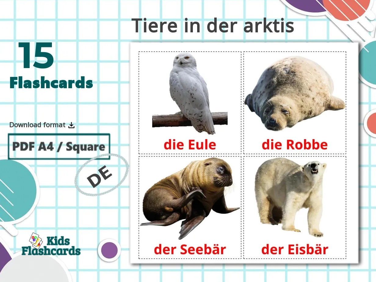 15 Printable Arctic animals Flashcards in German (Free PDF)