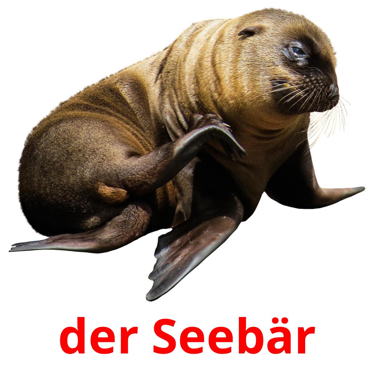 15 Printable Arctic animals Flashcards in German (Free PDF)