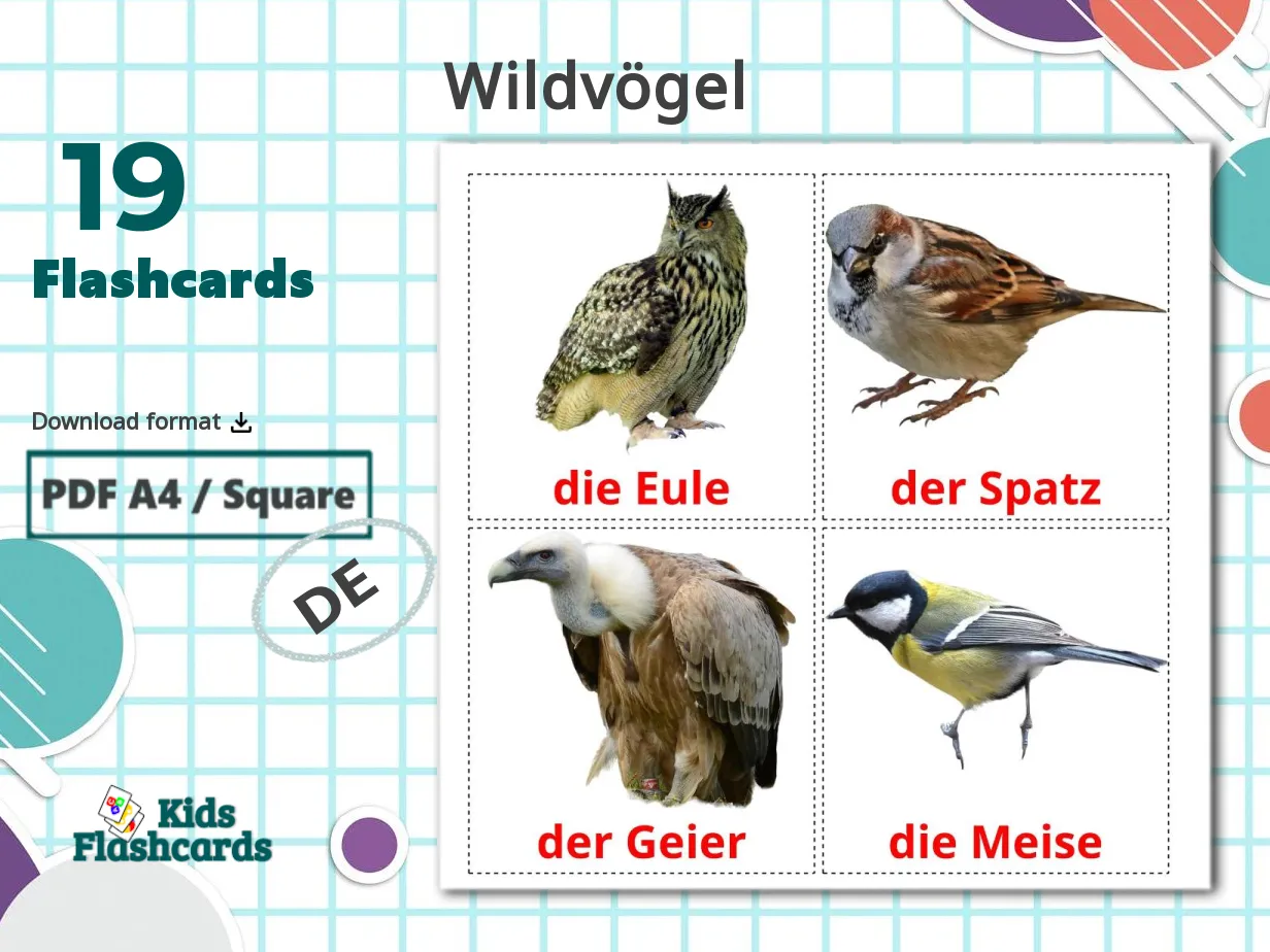 19 Printable Wild birds Flashcards in German (Free PDF)