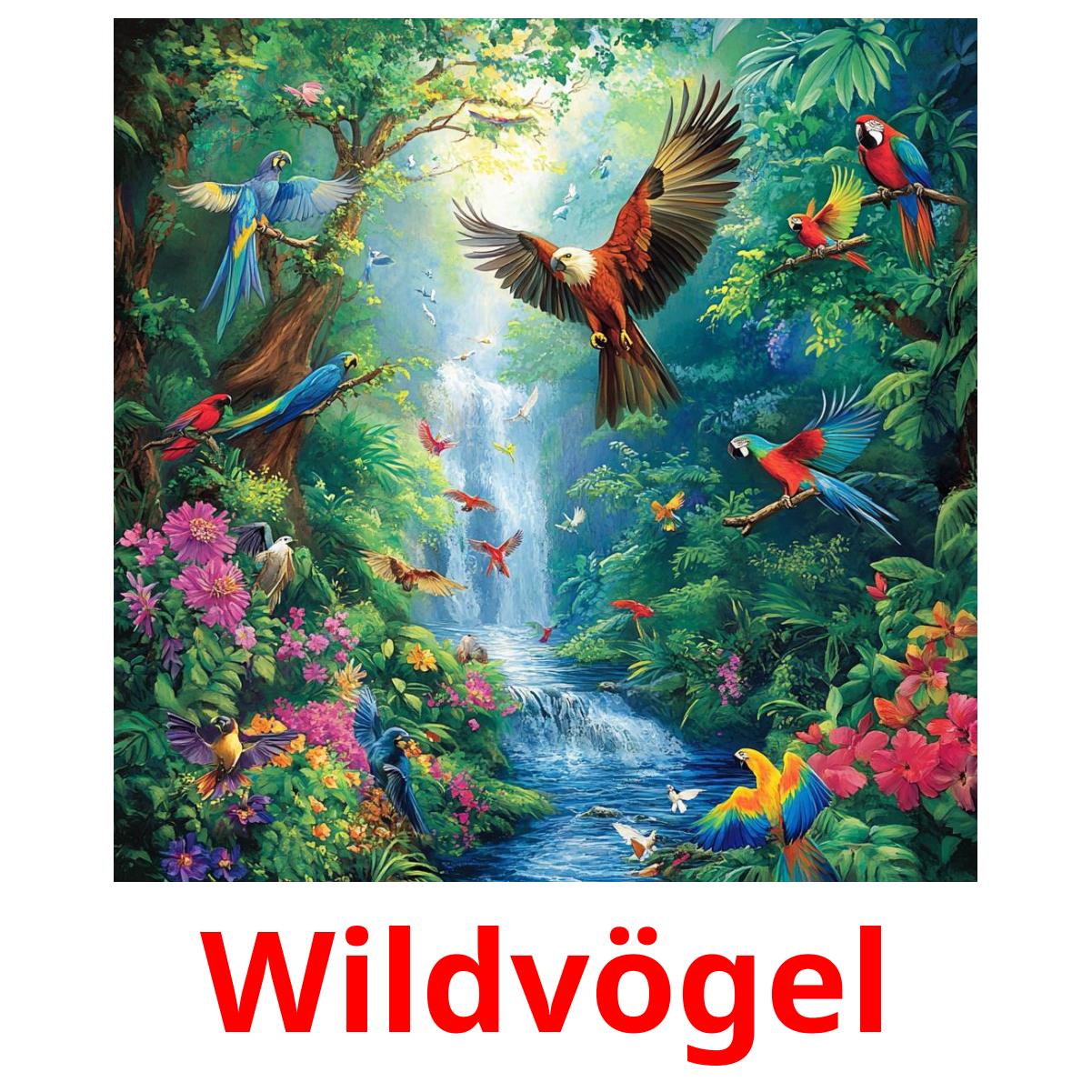 19 Printable Wild birds Flashcards in German (Free PDF)