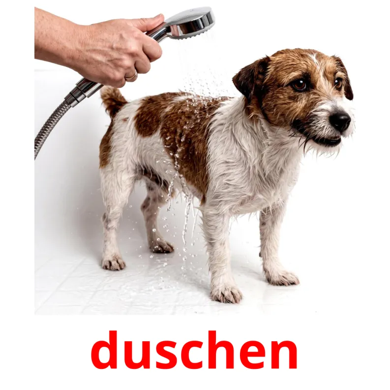 33 FREE Routine verbs Flashcards in PDF | German Pictures