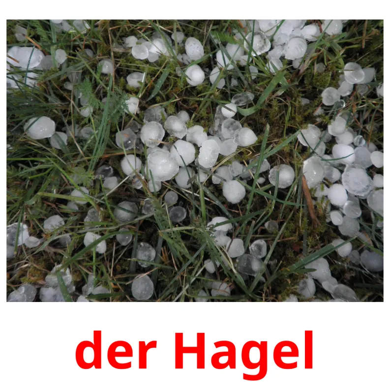 31 FREE Weather Flashcards | PDF | German Words