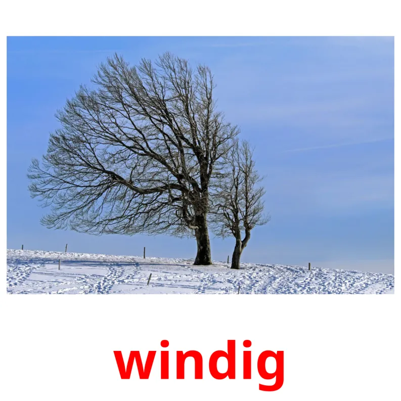 31 FREE Weather Flashcards | PDF | German Words