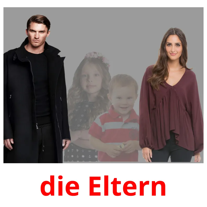 32 FREE Family members Flashcards | PDF | German Words
