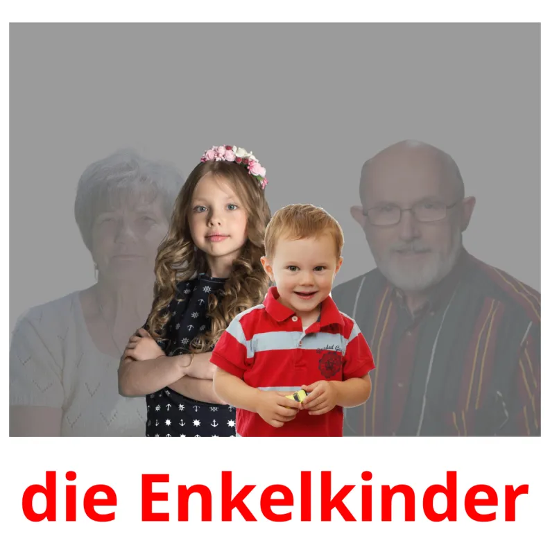 32 FREE Family members Flashcards | PDF | German Words